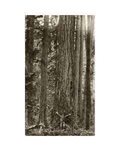 1880s - Historic Photos at OLD OREGON