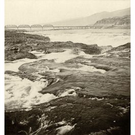 Overlooking Celilo Falls, with New Bridge - c. 1912
