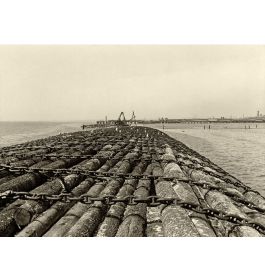Log Raft from Oregon Arrives in San Diego - 1929