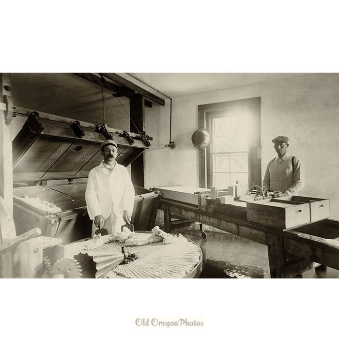 Using a Butter Worker at the Albany Creamery - c 1898